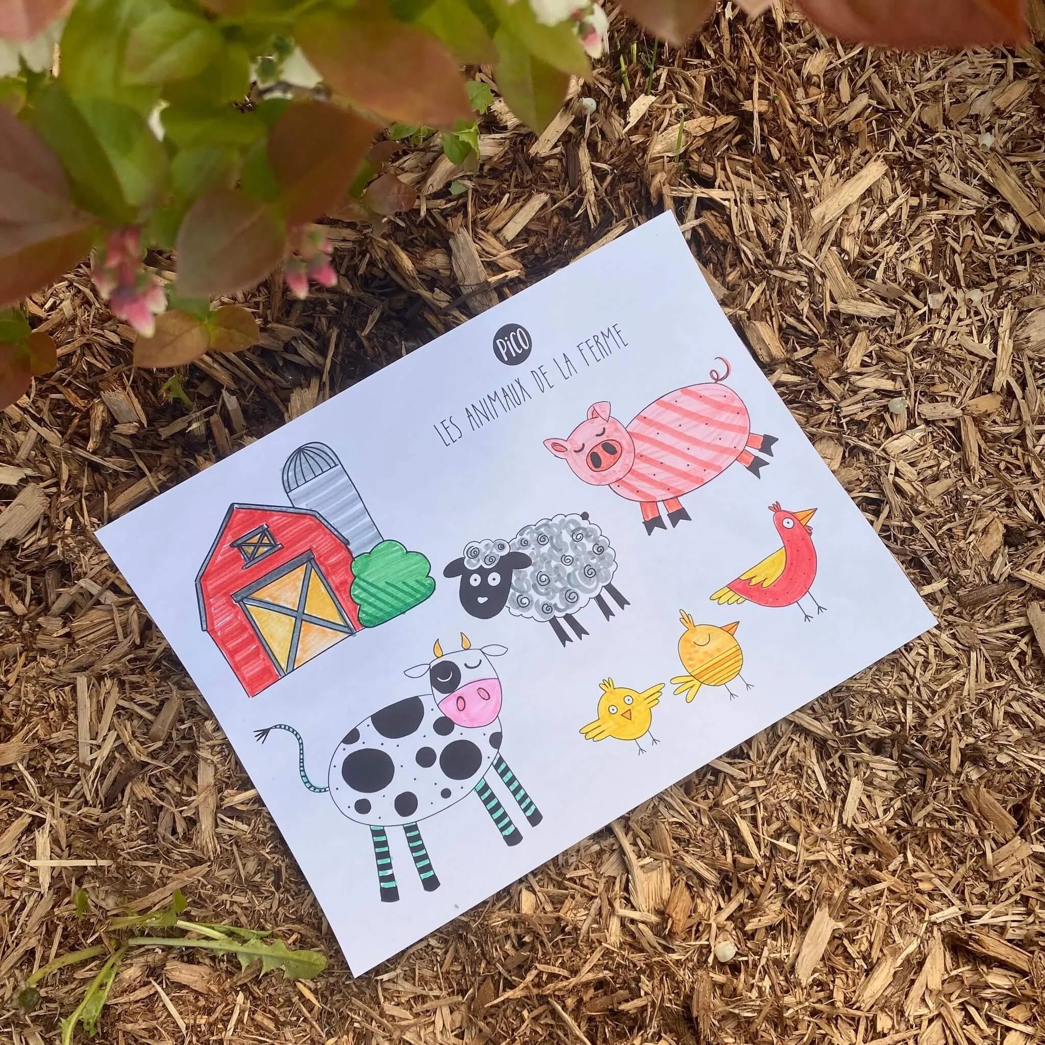 Cute Farm Animals Coloring Page - Free Printables – PiCO Tatoo